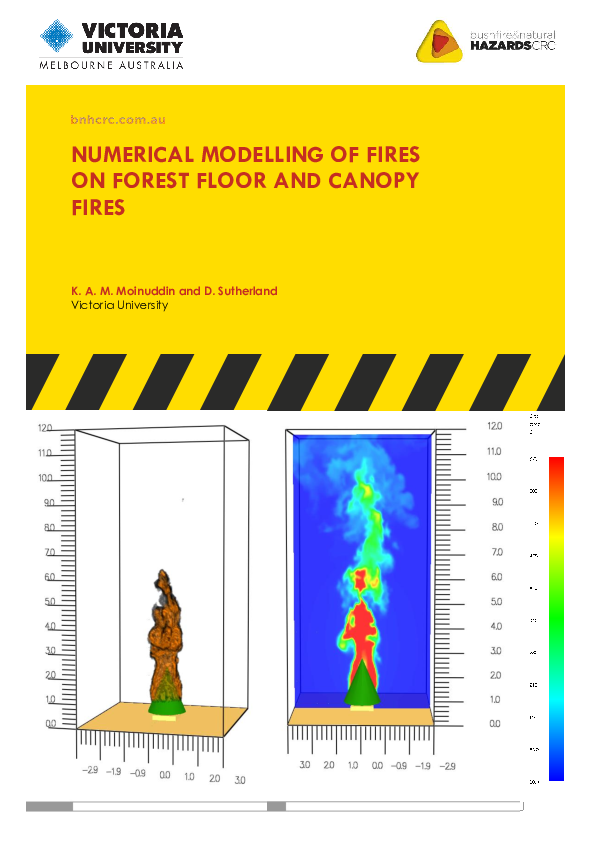 (PDF) Numerical modelling of fires on forest floor and canopy fires