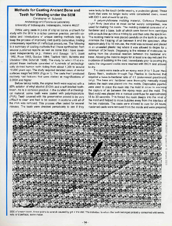 (PDF) Methods for Casting Ancient Bone and Teeth for Viewing under the ...