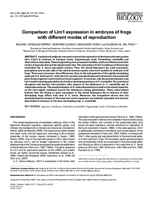 (PDF) Comparison of Lim1 expression in embryos of frogs with different ...