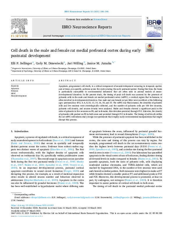 (PDF) Cell death in the male and female rat medial prefrontal cortex ...