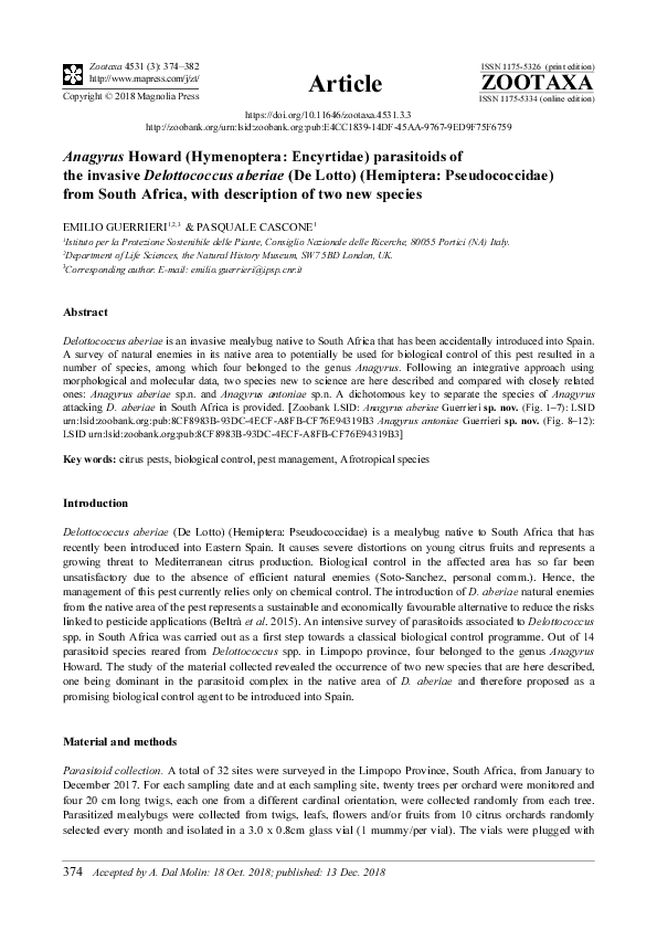(PDF) Anagyrus Howard (Hymenoptera: Encyrtidae) parasitoids of the ...
