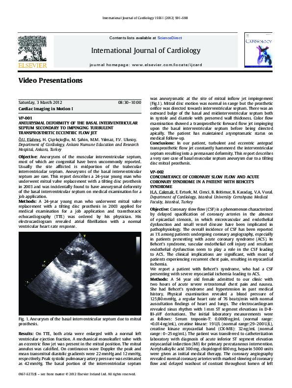 (PDF) VP-001 Aneurysmal Deformity of the Basal Interventricular Septum ...