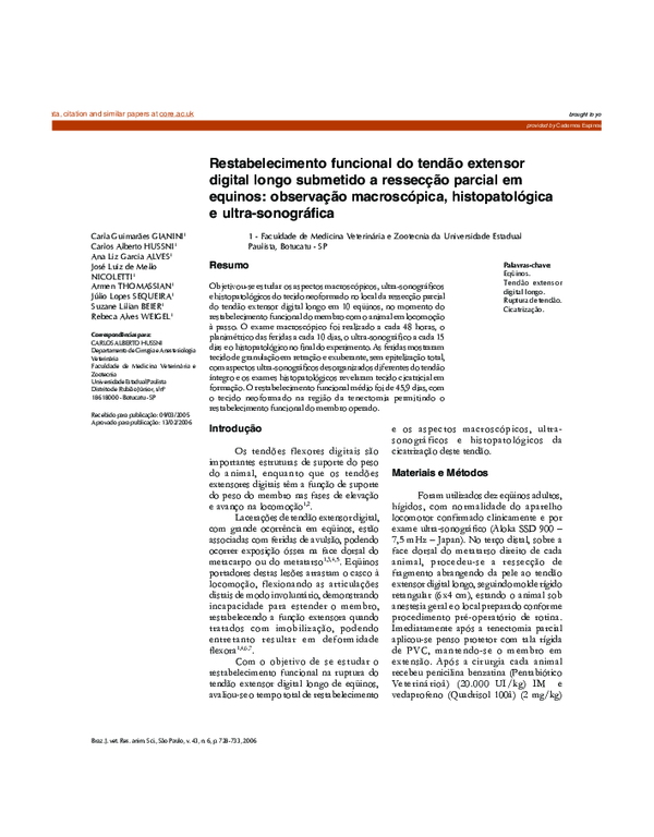 (PDF) Functional restoration of the long digital extensor tendon in ...