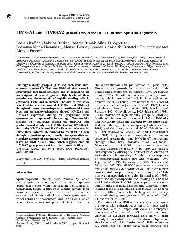 (PDF) HMGA1 and HMGA2 protein expression in mouse spermatogenesis
