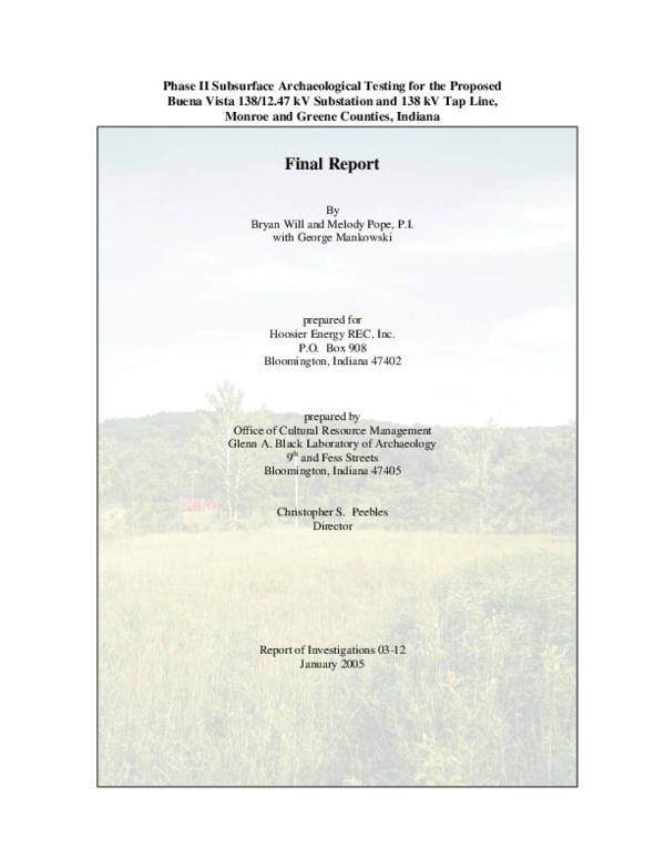 (PDF) Phase II Subsurface Archaeological Testing for the Proposed Buena ...