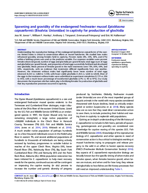 (PDF) Spawning and gravidity of the endangered freshwater mussel ...