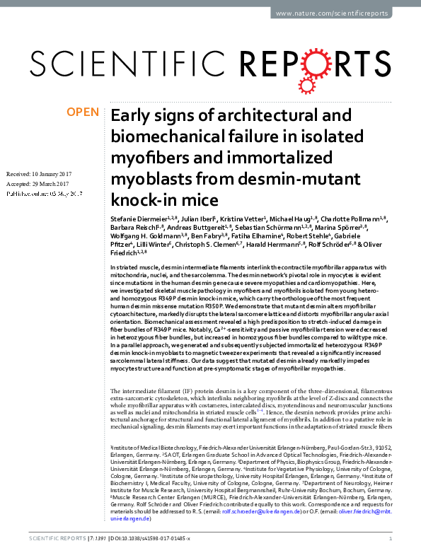 (PDF) Early signs of architectural and biomechanical failure in ...