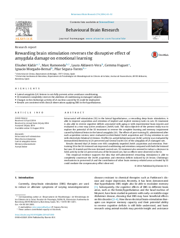 (PDF) Rewarding brain stimulation reverses the disruptive effect of ...