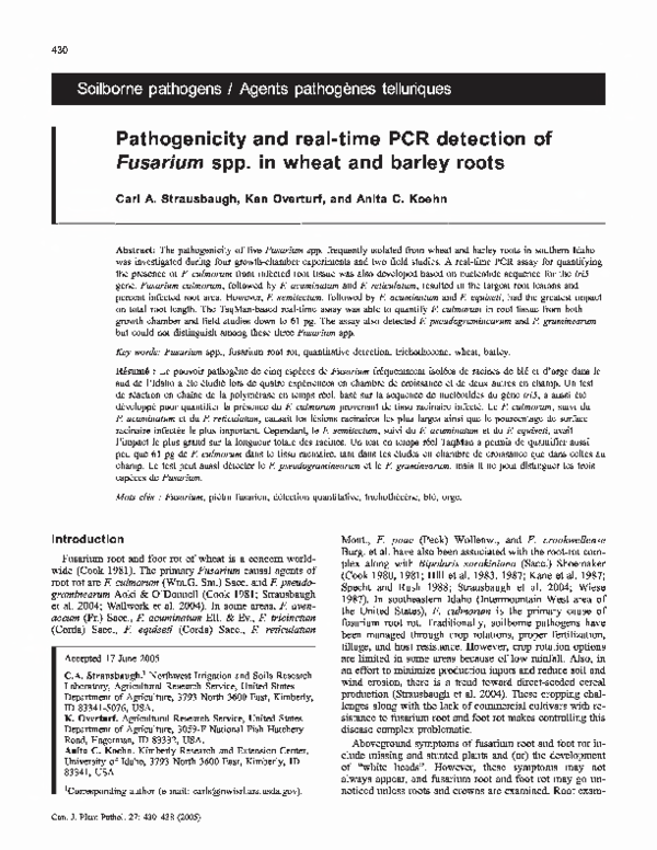 (PDF) Pathogenicity and real-time PCR detection ofFusariumspp. in wheat ...