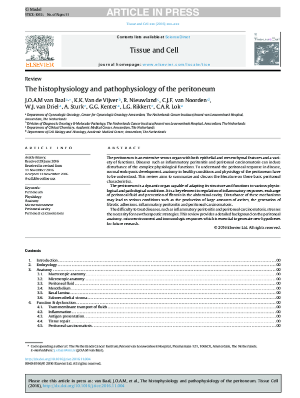 (PDF) The histophysiology and pathophysiology of the peritoneum
