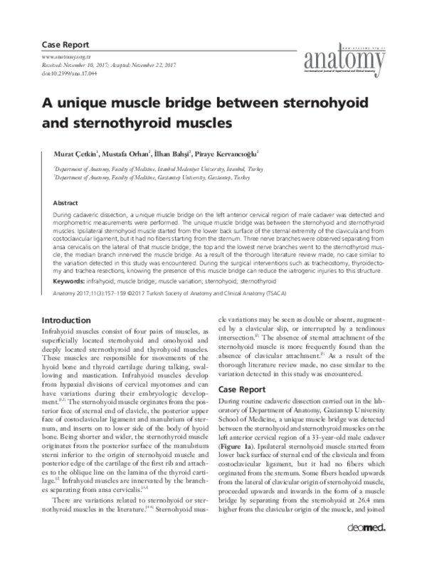 (PDF) A unique muscle bridge between sternohyoid and sternothyroid muscles