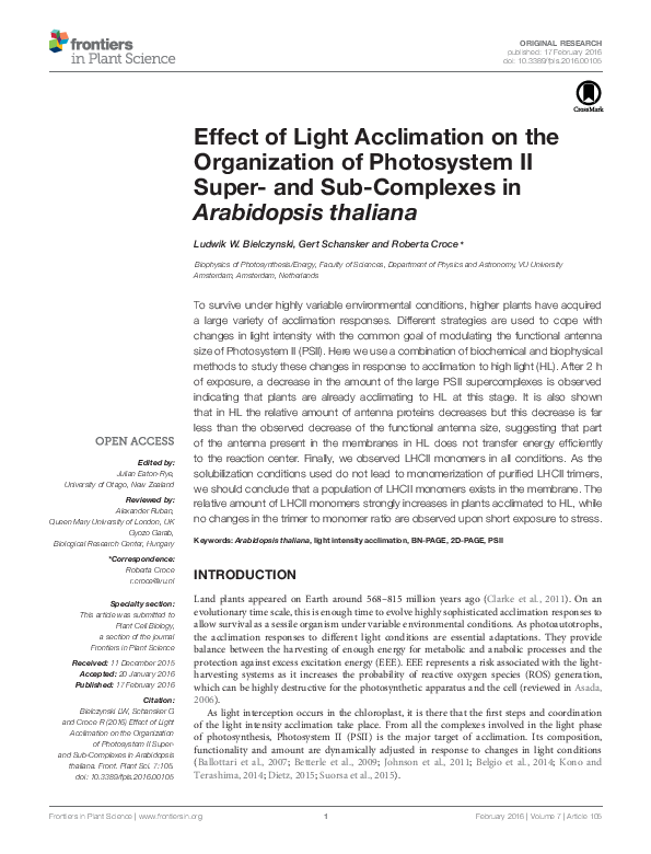 (PDF) Effect of Light Acclimation on the Organization of Photosystem II ...