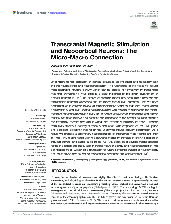 (PDF) Transcranial Magnetic Stimulation and Neocortical Neurons: The ...
