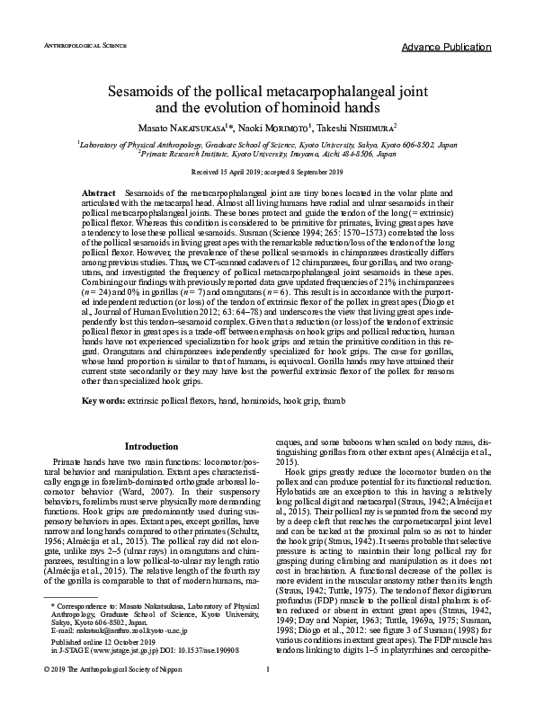 (PDF) Nacholapithecus and its importance for understanding hominoid ...