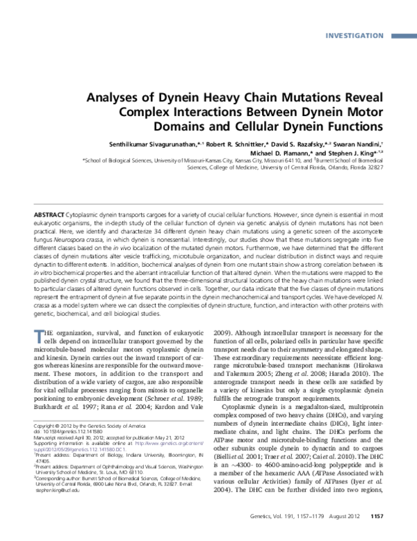 (PDF) Analyses of Dynein Heavy Chain Mutations Reveal Complex ...