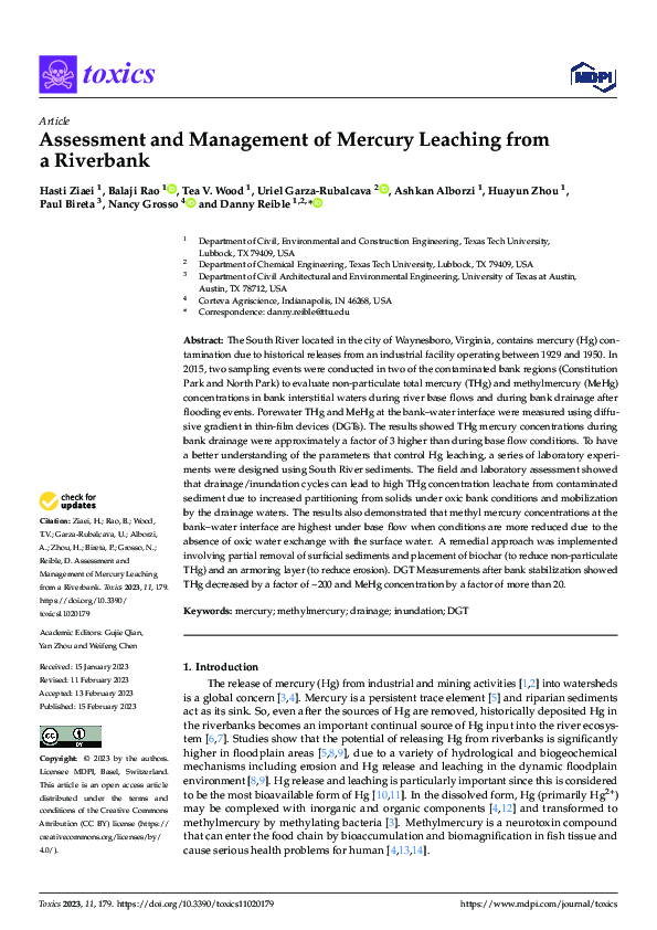 (PDF) Assessment and Management of Mercury Leaching from a Riverbank