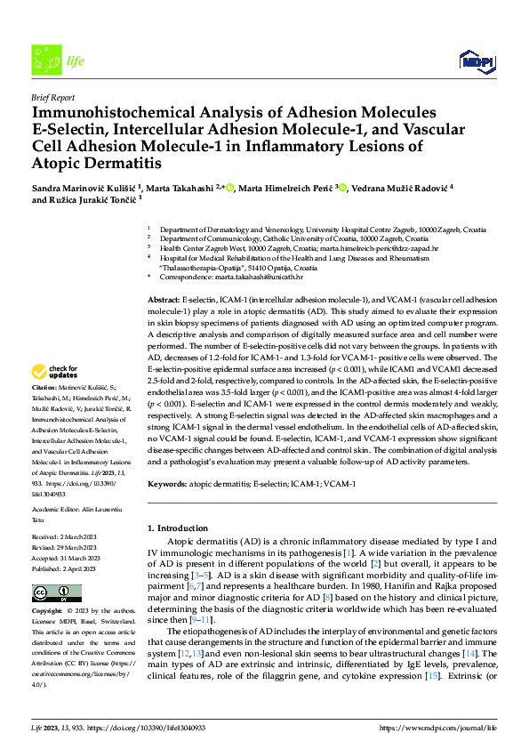 (PDF) Immunohistochemical Analysis of Adhesion Molecules E-Selectin, Intercellular Adhesion ...
