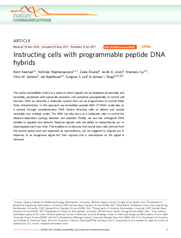 (PDF) Instructing cells with programmable peptide DNA hybrids