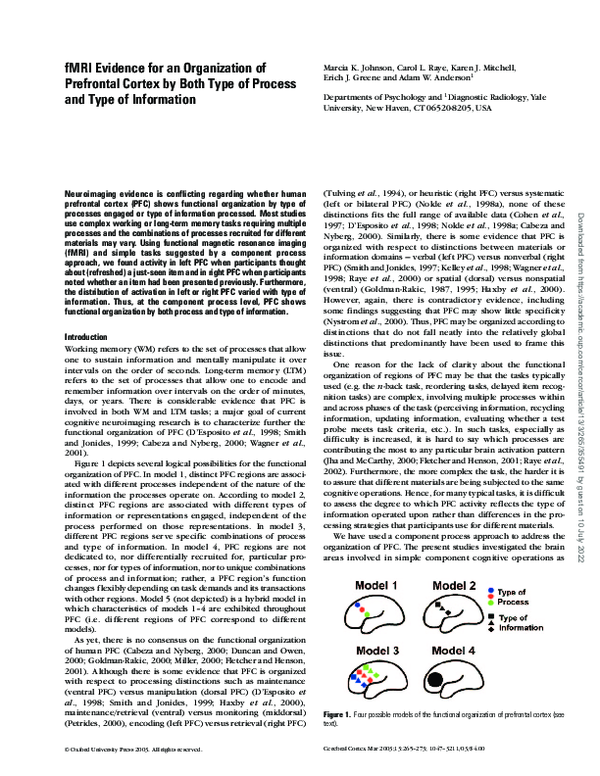 (PDF) fMRI Evidence for an Organization of Prefrontal Cortex by Both ...