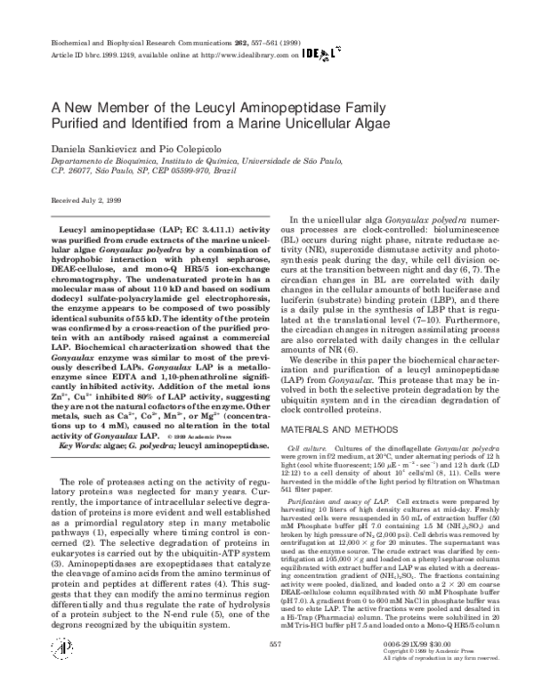 (PDF) A New Member of the Leucyl Aminopeptidase Family Purified and ...