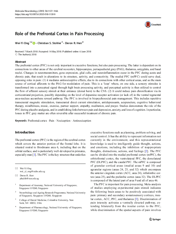 (PDF) Role of the Prefrontal Cortex in Pain Processing