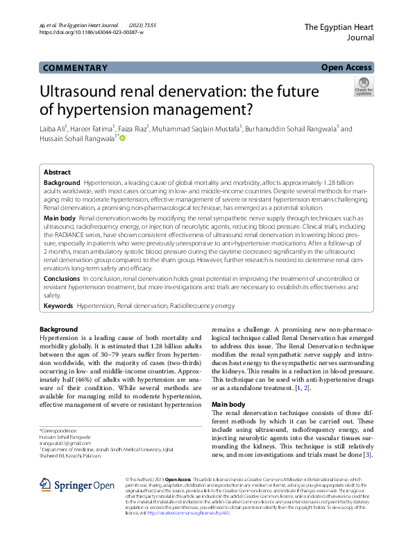 (PDF) Ultrasound renal denervation: the future of hypertension management?