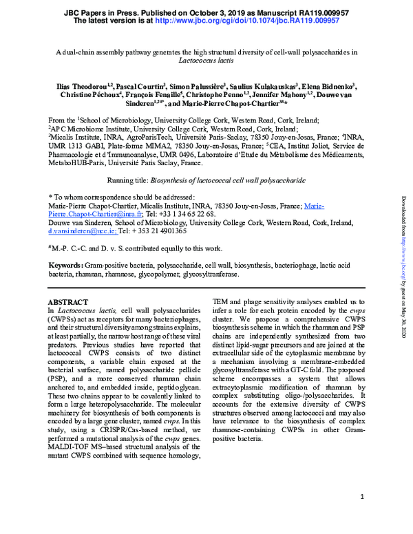 (PDF) A dual-chain assembly pathway generates the high structural ...