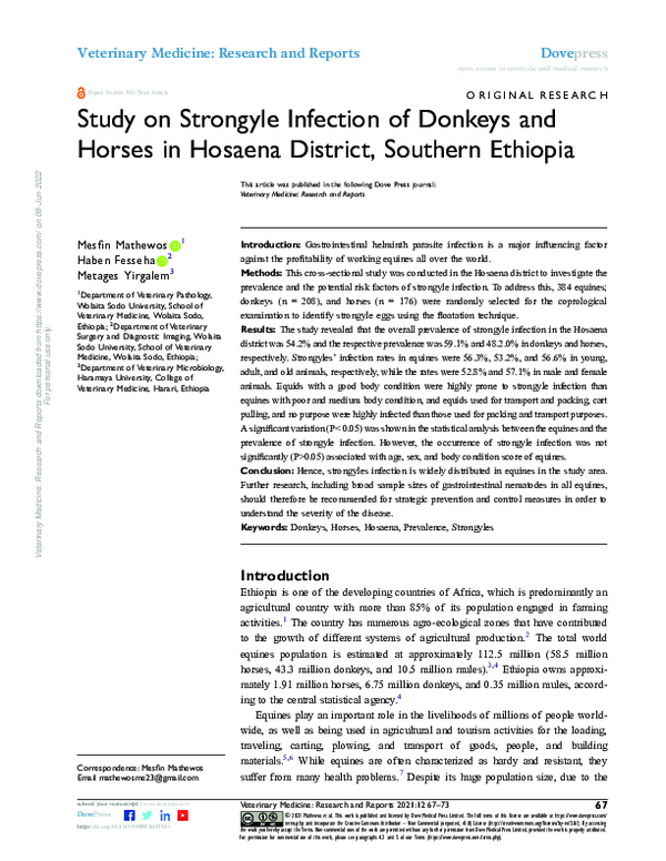 (PDF) Study on Strongyle Infection of Donkeys and Horses in Hosaena ...