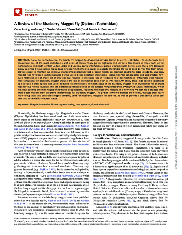 A Review of the Blueberry Maggot Fly (Diptera: Tephritidae)