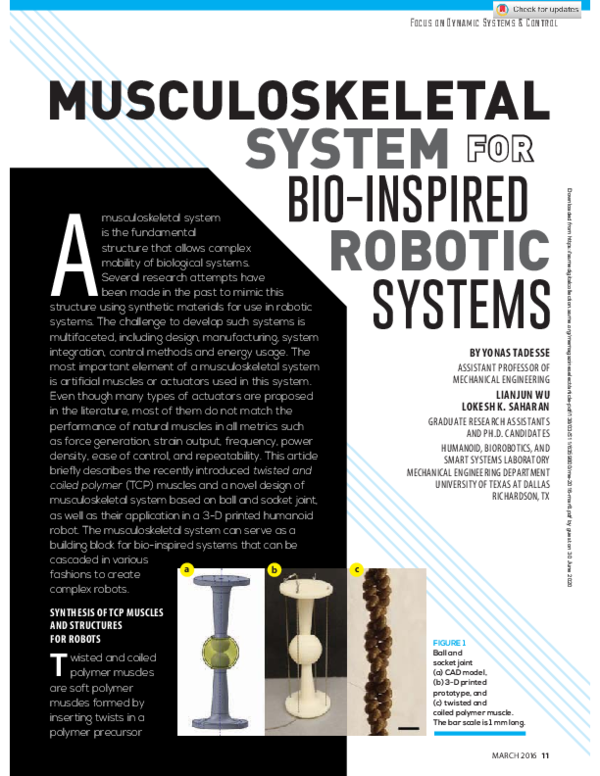 (PDF) Innovative Musculoskeletal Systems for Bio-Inspired Robots