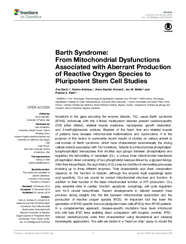 (PDF) Barth Syndrome: From Mitochondrial Dysfunctions Associated with ...
