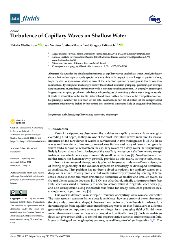 (PDF) Turbulence of Capillary Waves on Shallow Water | Natalia Vladimirova - Academia.edu