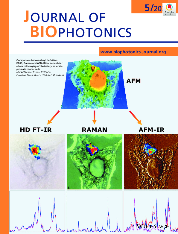 (PDF) Inside Cover: Comparison between high definition FT‐IR, Raman and ...