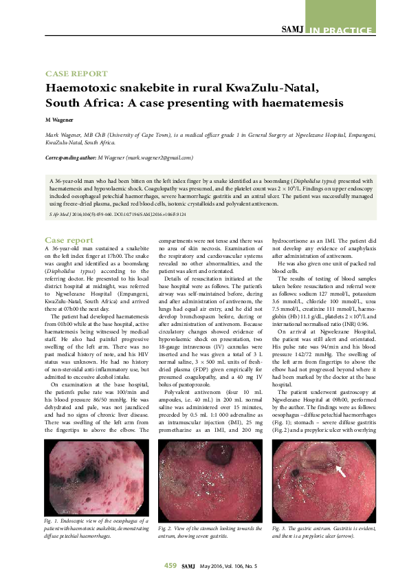 (PDF) Haemotoxic snakebite in rural KwaZulu-Natal, South Africa: A case ...