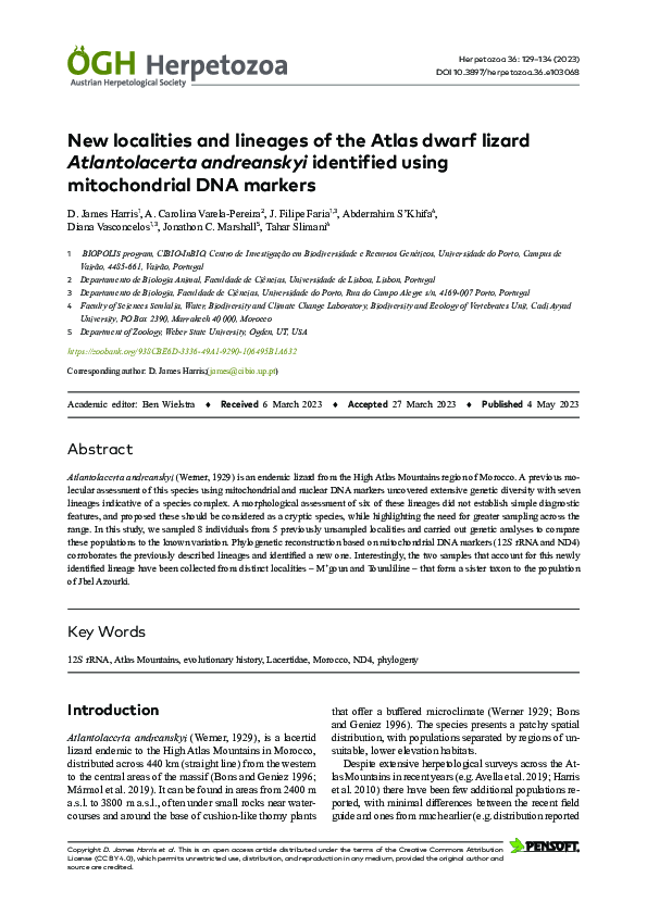 (PDF) New localities and lineages of the Atlas dwarf lizard ...