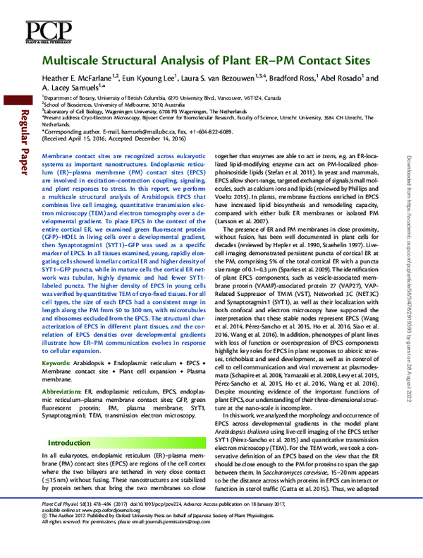 (PDF) Multiscale Structural Analysis of Plant ER-PM Contact Sites