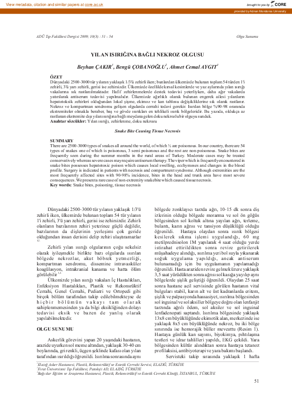 (PDF) Snake Bite Causing Tissue Necrosis