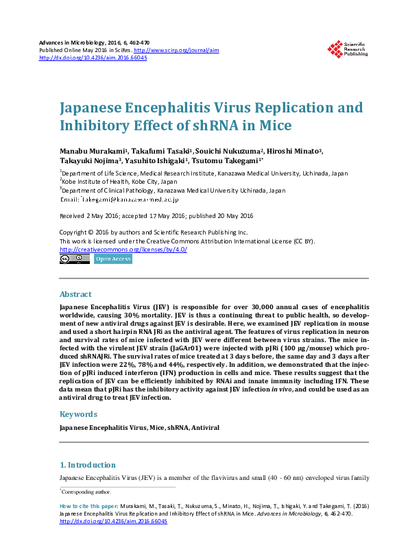 (PDF) Japanese Encephalitis Virus Replication and Inhibitory Effect of ...