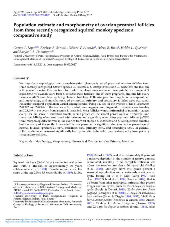(PDF) Morphological Study of Ovarian Follicles in Squirrel Monkeys