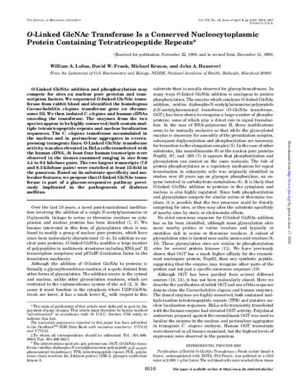 (PDF) O-Linked GlcNAc Transferase Is a Conserved Nucleocytoplasmic ...