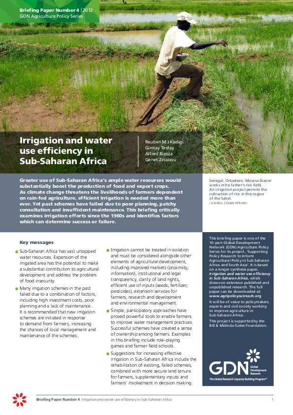 (PDF) Irrigation and water use efficiency in Sub-Saharan Africa