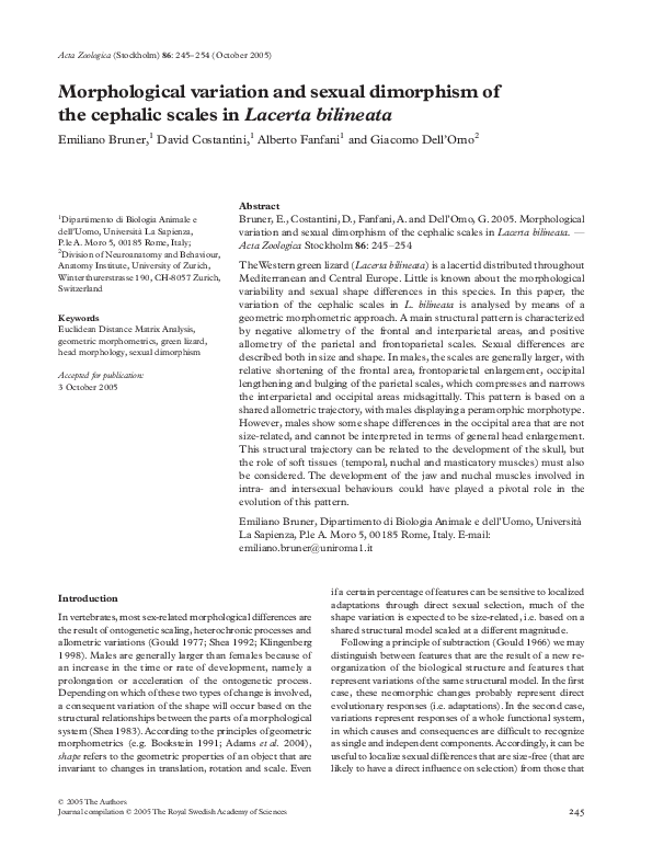 (PDF) Morphological variation and sexual dimorphism of the cephalic ...