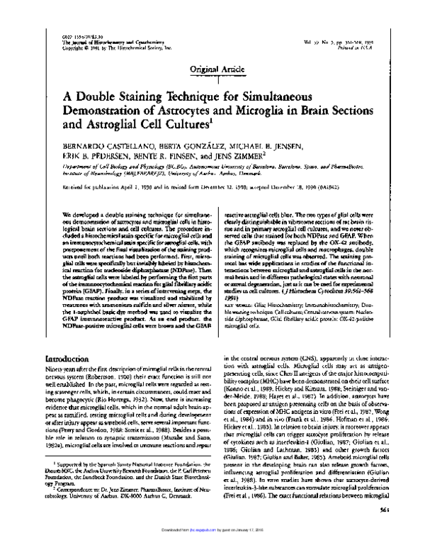 (PDF) A double staining technique for simultaneous demonstration of ...