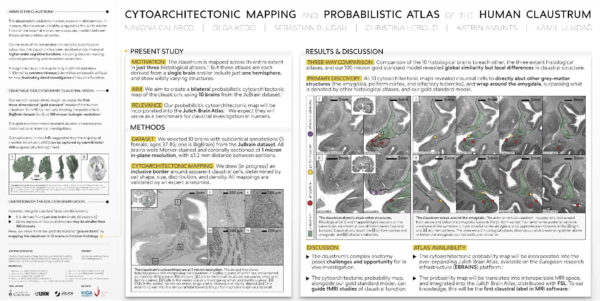(PDF) Cytoarchitectonic mapping and probabilistic atlas of the human ...