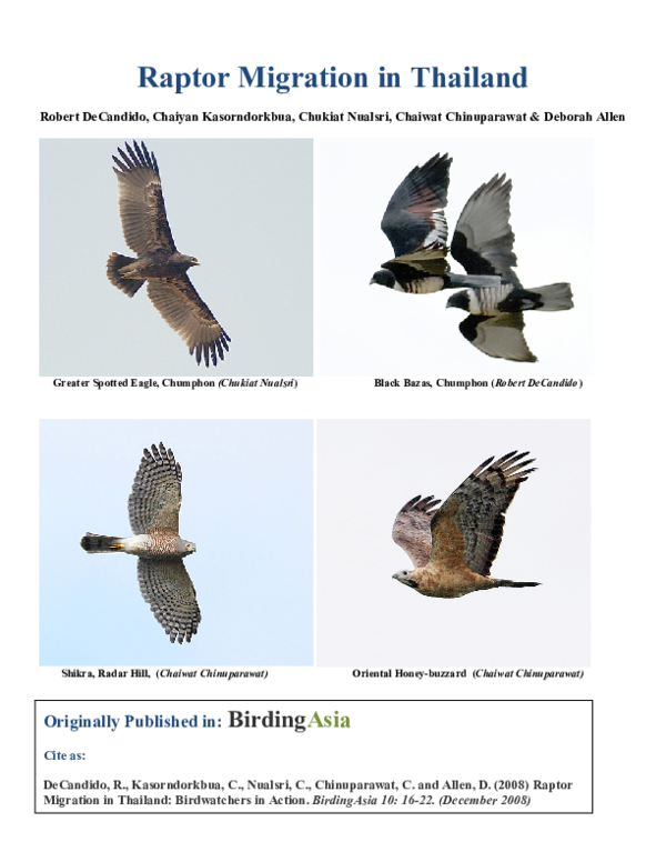 (PDF) Raptor migration in Thailand