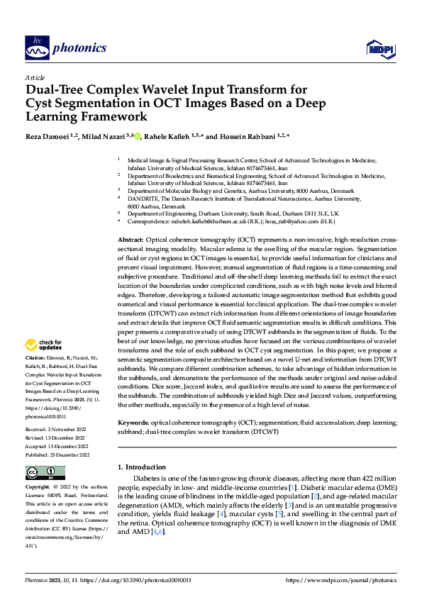 Pdf Dual Tree Complex Wavelet Input Transform For Cyst Segmentation In Oct Images Based On A