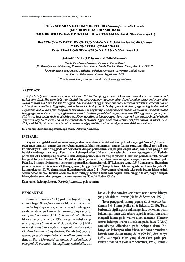 (PDF) Pola Sebaran Kelompok Telur Ostrinia furnacalis Guenée ...