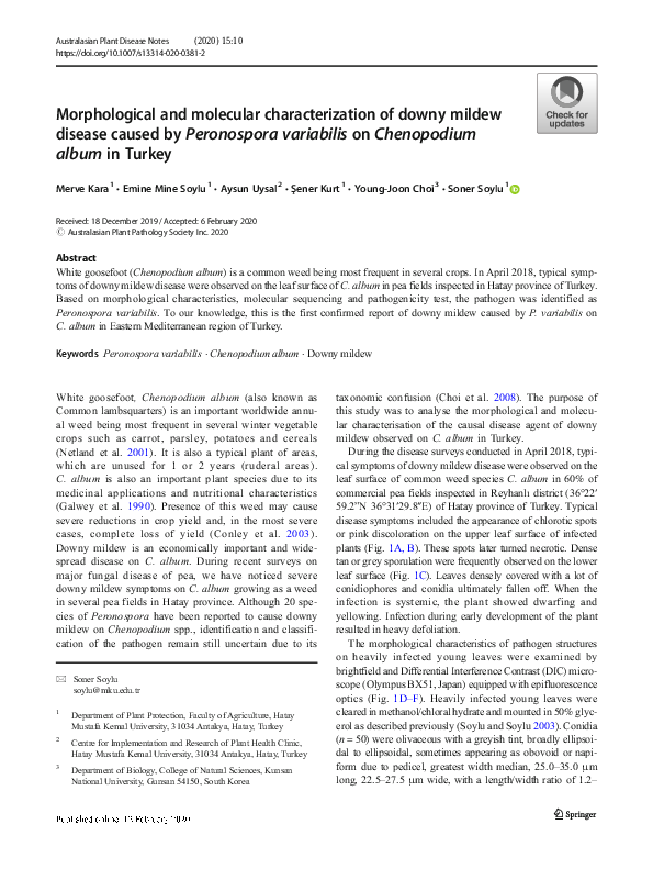 (PDF) Morphological and molecular characterization of downy mildew ...