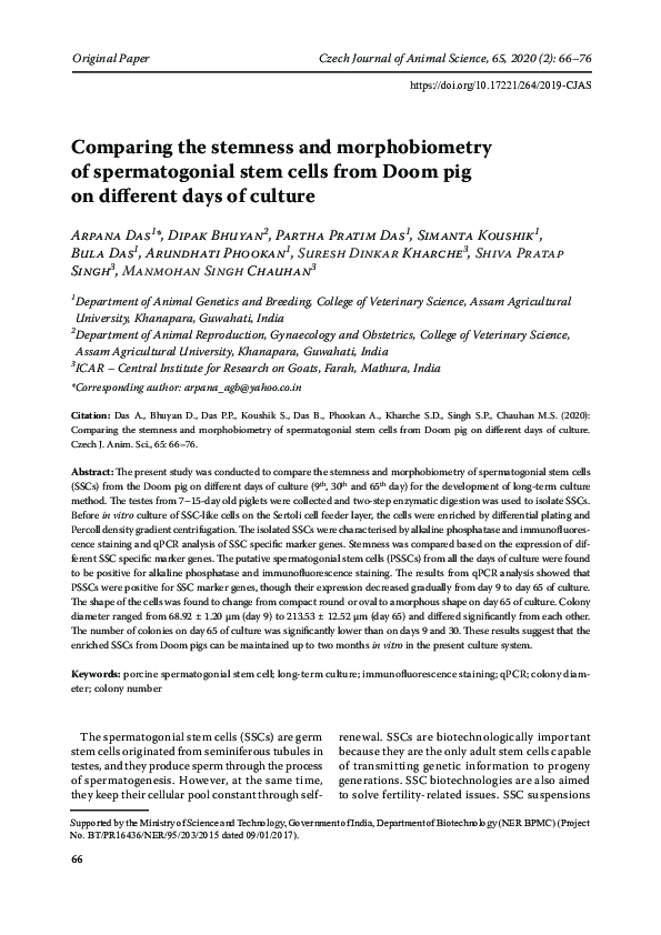 (PDF) Comparing the stemness and morphobiometry of spermatogonial stem ...