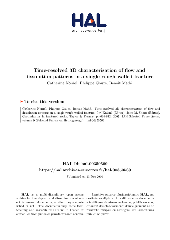 Pdf Time Resolved 3d Characterisation Of Flow And Dissolution Patterns In A Single Rough